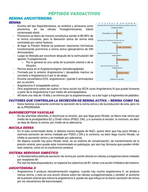 Péptidos Vasoactivos