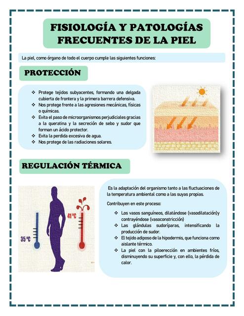 Fisiología y patologías frecuentes de la piel | MykeEduca | uDocz
