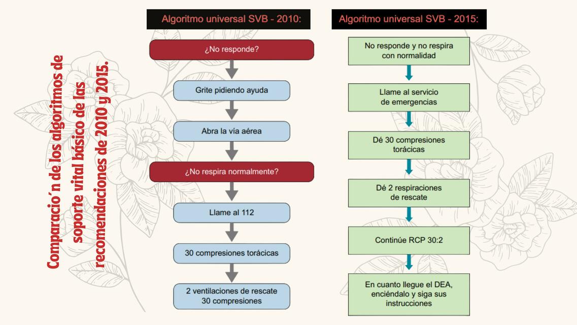 Comparación de los algoritmos de soporte vital básico | Linda Milena León Gómez | uDocz