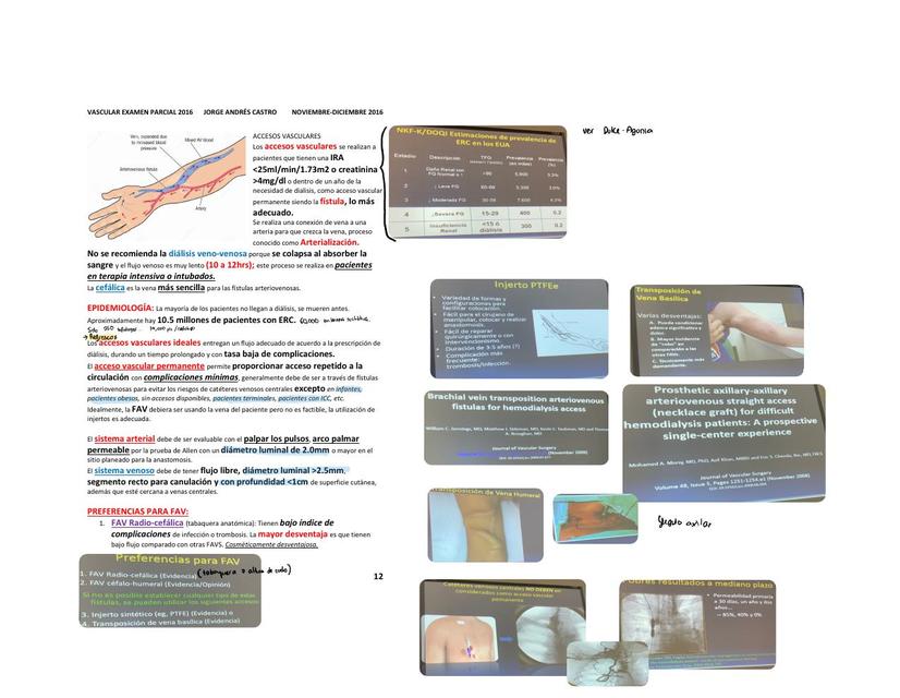 Accesos Vasculares | uDocz