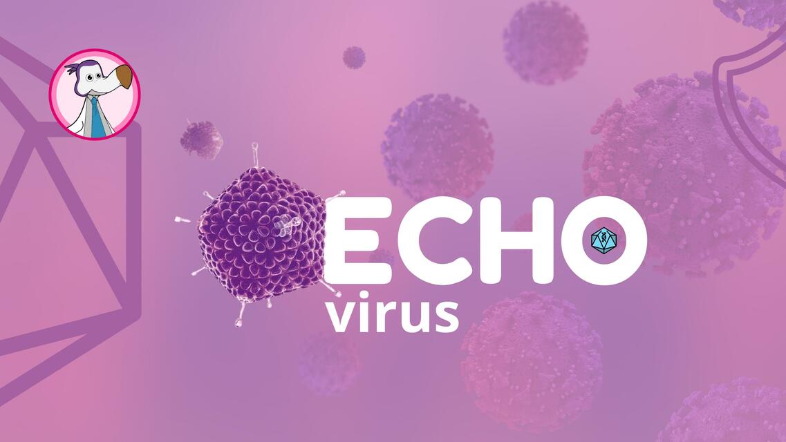 ECHOvirus | DoDoctor | uDocz