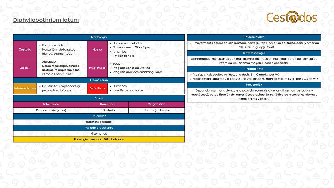 Diphyllobothrium latum [Flashcard] | DoDoctor | uDocz