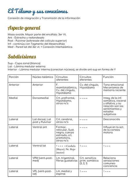 Lámina medular externa | Busca y descarga apuntes gratis | uDocz