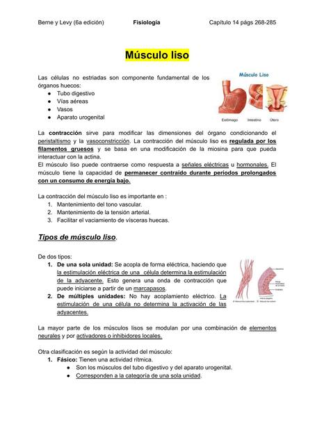 Músculo Liso | uDocz