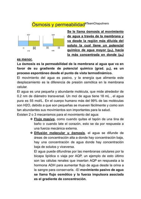 Ósmosis y Permeabilidad | uDocz