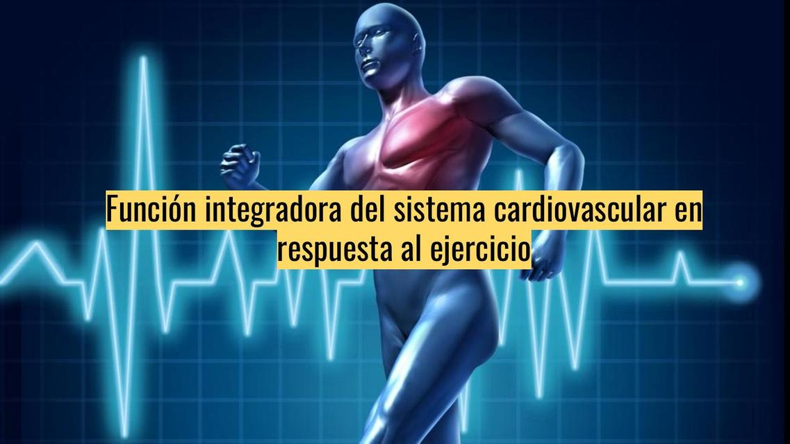 Cardio | MEDilove | uDocz