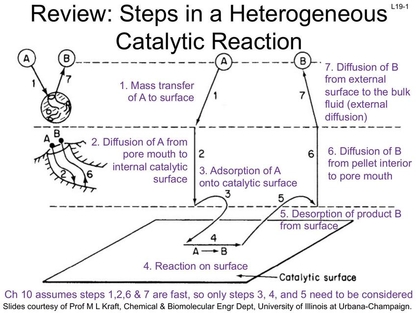 Resúmenes de Función catalítica | Descarga apuntes de Función catalítica