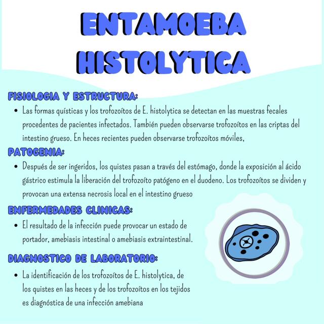 Entamoeba histolytica | MARYURI LISBETH | uDocz