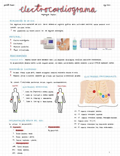 Electrocardiograma: Conceptos Principales | Yamileth Amador | uDocz
