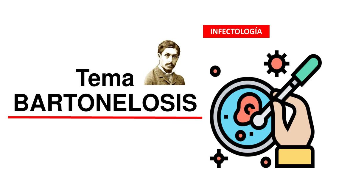 Bartonelosis | Tiroxina Med | uDocz