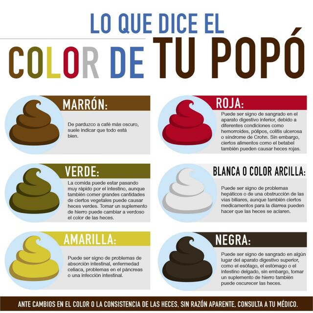 Que Indica El Color De Heces Qu Indica El Color De Las Heces Para Que Indica El Color De Heces Qu Indica El Color De Las Heces Para