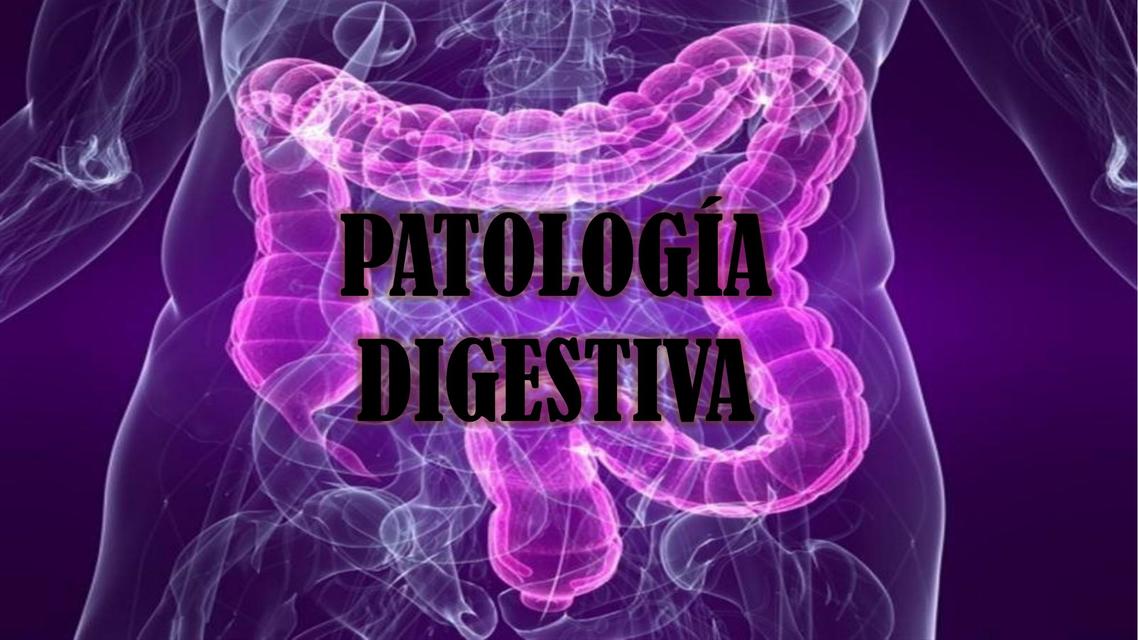 Patología digestiva | MARYURI LISBETH | uDocz