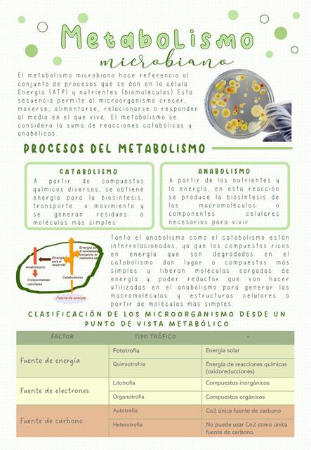 Metabolismo Microbiano | ESTEFANY CHANTDHAL ACEVEDO MENDOZA | uDocz