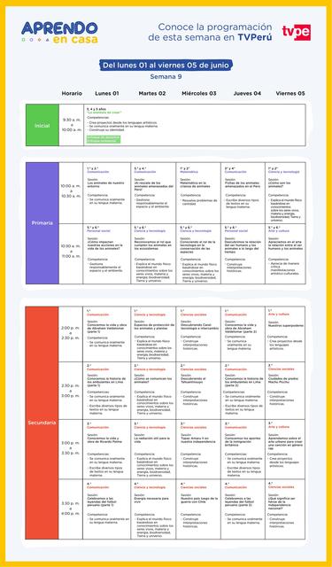 Programación | Unidocs | uDocz