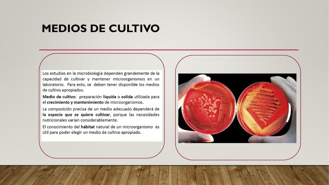 Medios de cultivo | Linda Milena León Gómez | uDocz