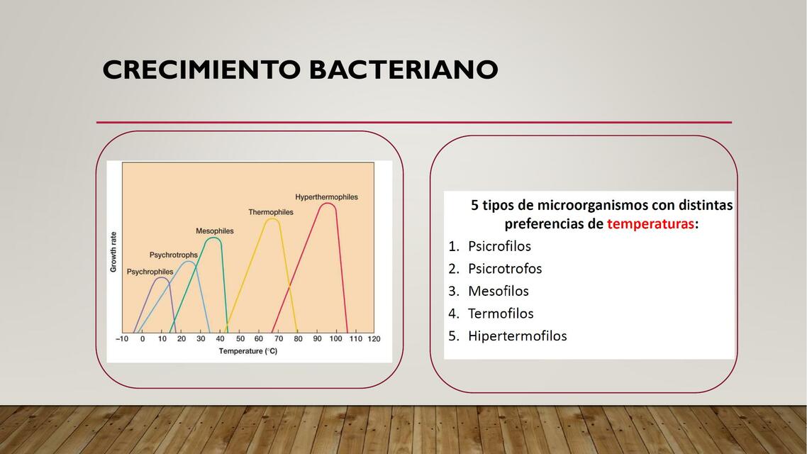 Crecimiento bacteriano | Linda Milena León Gómez | uDocz