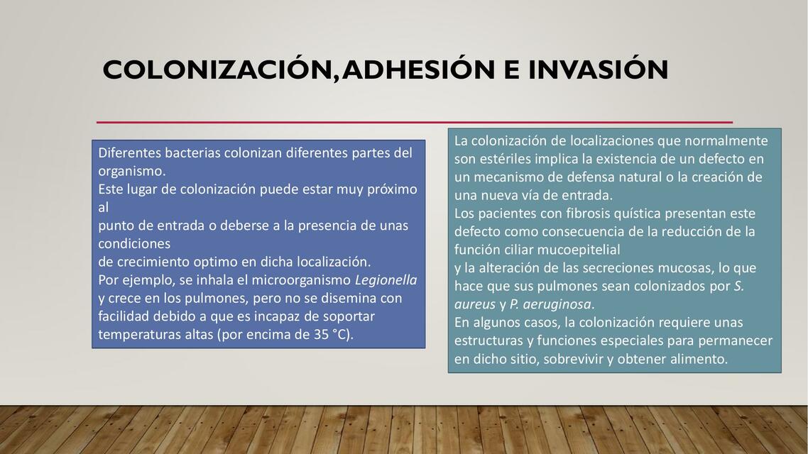Colonización , Adhesión e Invasión | Linda Milena León Gómez | uDocz