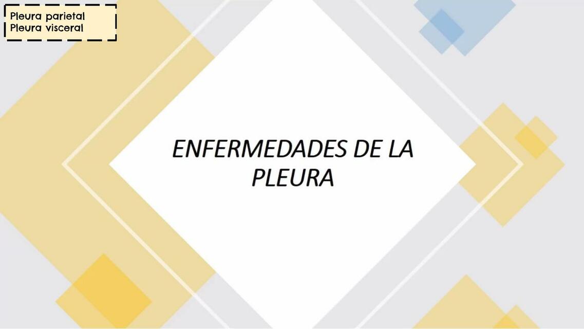 15. Enfermedades de la Pleura | LiquidOH愛 | uDocz