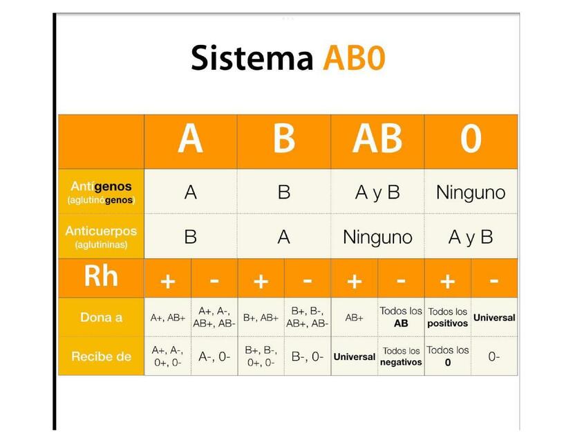 Sistema AB0 | uDocz