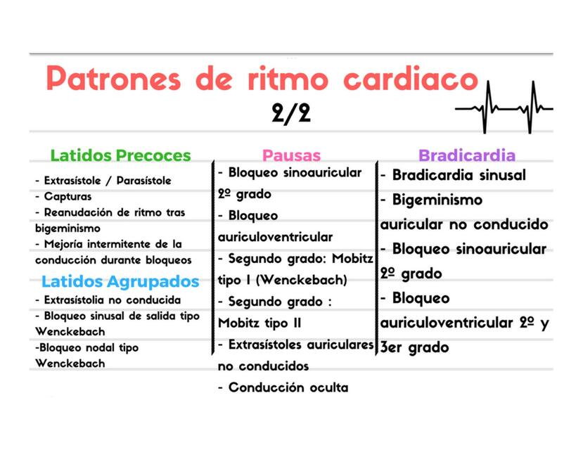 Patrones de ritmo circadiano 2 | uDocz