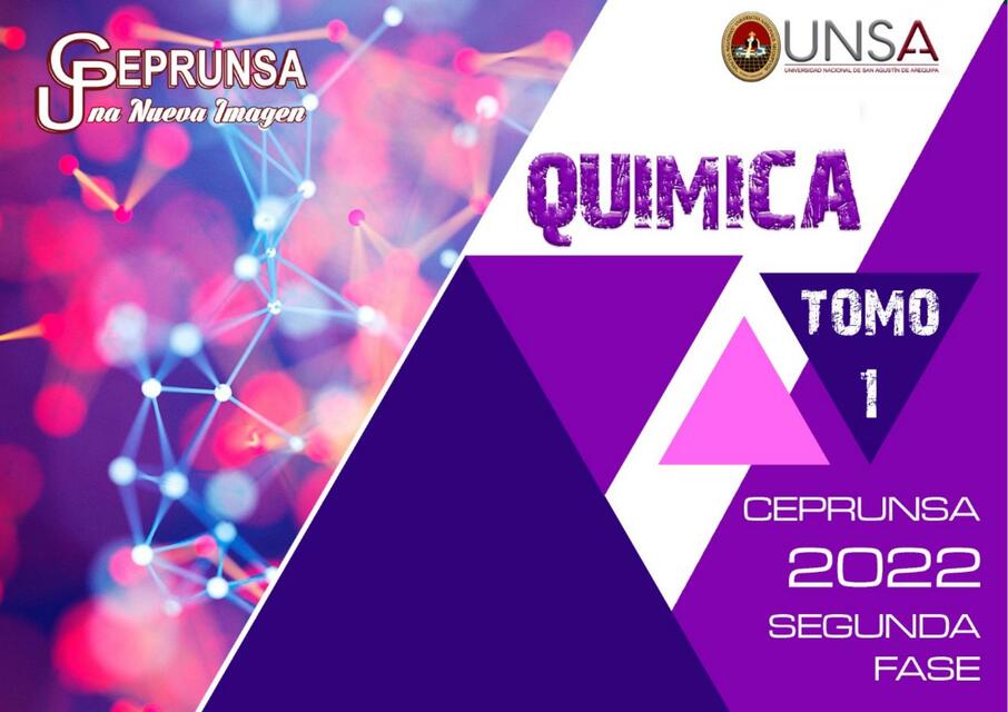 Química Roxana Milagros Udocz