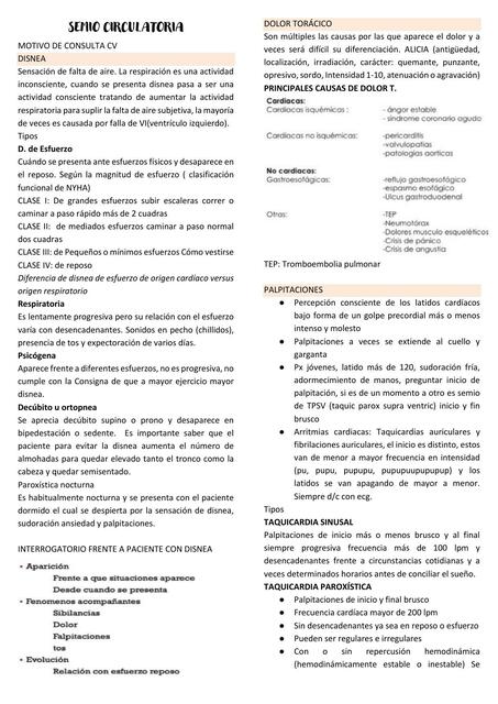 Semio Circulatoria | Arantxa | uDocz