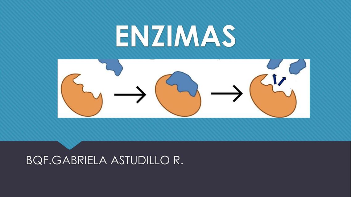 Enzimas | Yose Line | uDocz