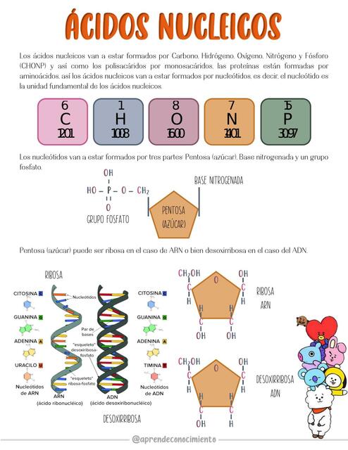 Ácidos Nucleicos | uDocz