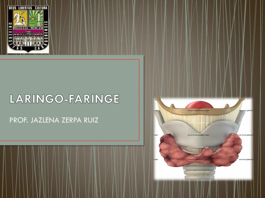 Laringo-Faringe | uDocz