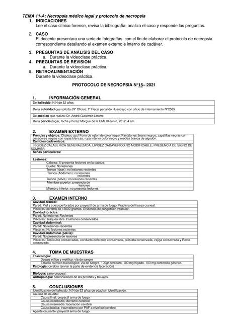 Necropsia Médico Legal y Protocolo de Necropsia | andre | uDocz