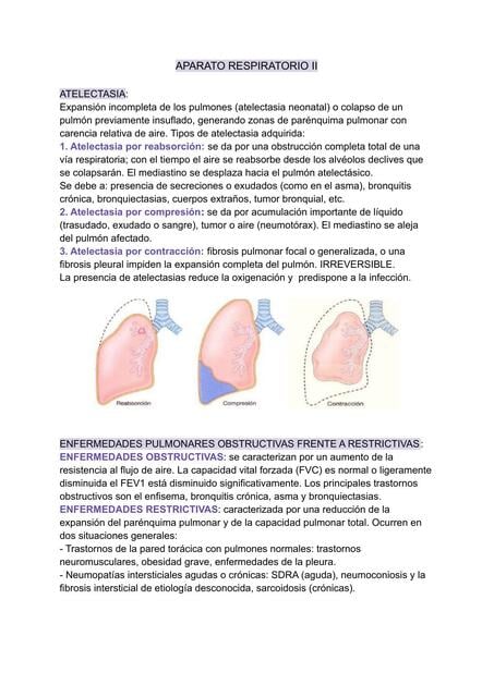 Patología de Pulmón | Micaela Arce | uDocz