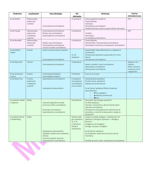 Síndromes Alternos de Tallo Neurología | MEDIKA NOTES | uDocz