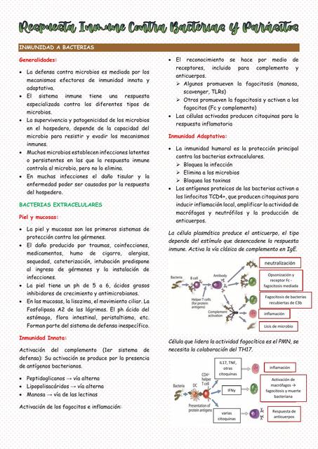Respuesta Inmune Contra Bacterias y Parásitos | Alisson1108 | uDocz