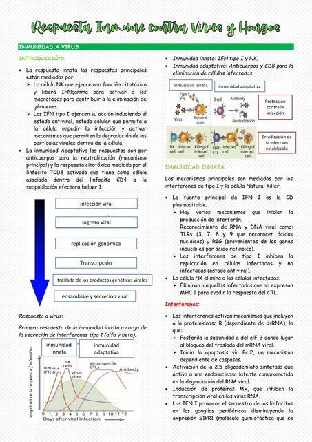 Respuesta Inmune Contra Virus y Hongos | Alisson1108 | uDocz