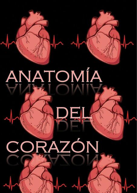 anatomia humana | uDocz