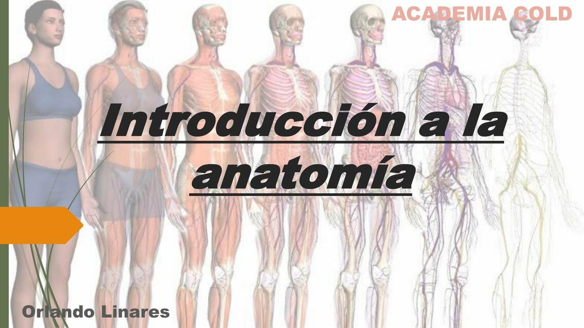 Introducción a la Anatomía | Veru Dugarte | uDocz