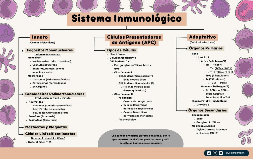 Esquema Sistema Inmunológico | Dra.Brodmann | uDocz