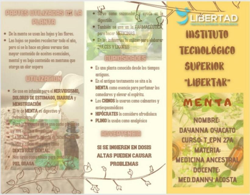 Medicina Ancestral- Menta | DAYANNA LIZETH OYACATO LOPEZ | uDocz