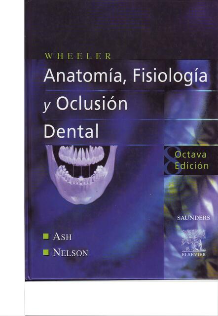 Anatomía, Fisiología y Oclusión Dental | Val Isidro | uDocz