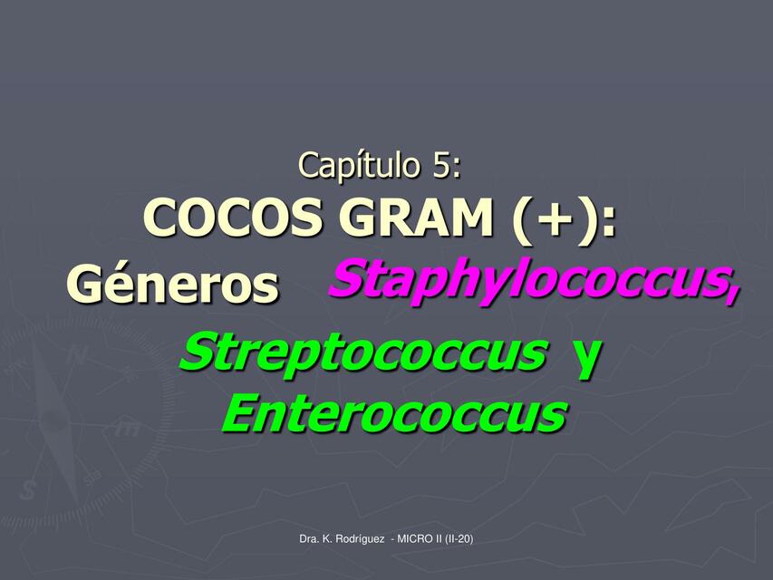 Cocos Gram (+): Géneros Staphylococcus, Streptococcus y Enterococcus ...