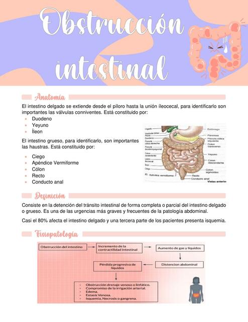 Obstrucción intestinal | Juanita Zapata | uDocz