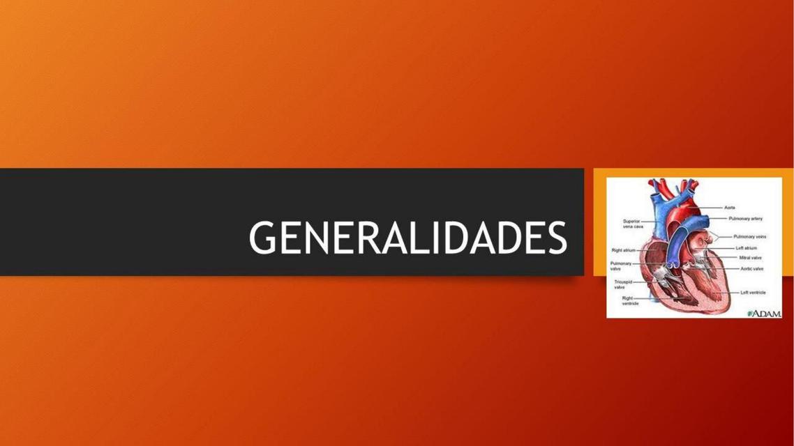 Resúmenes de Generalidades del tórax | Descarga apuntes de ...