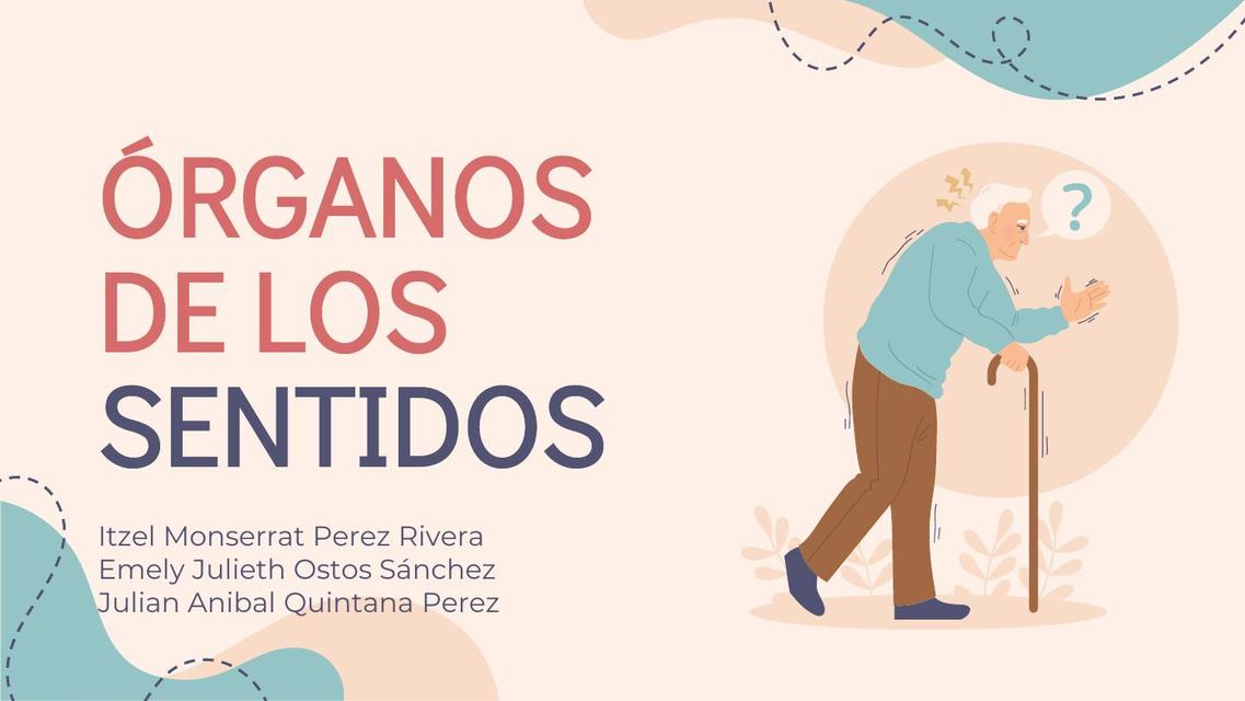 Órganos de los sentidos | Emely Ostos | uDocz