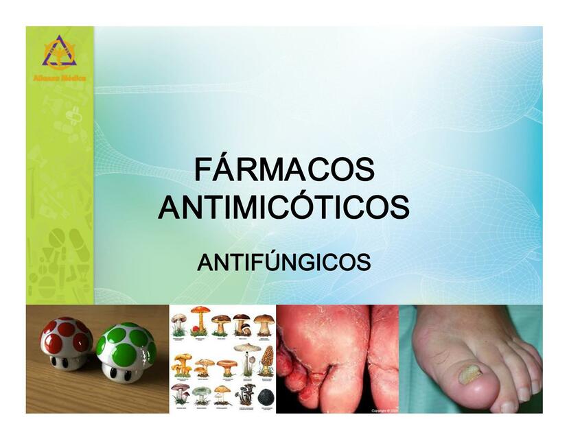 Fármacos Antimicóticos | Enfermería | uDocz