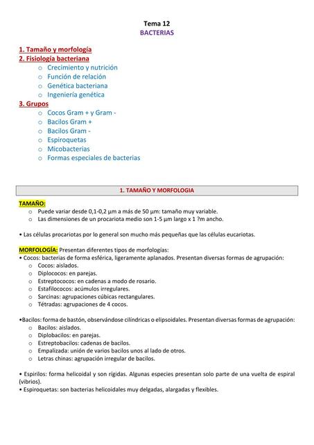 Morfología de bacterias | uDocz