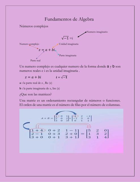 Fundamentos de Algebra | Laura Solis Gines | uDocz