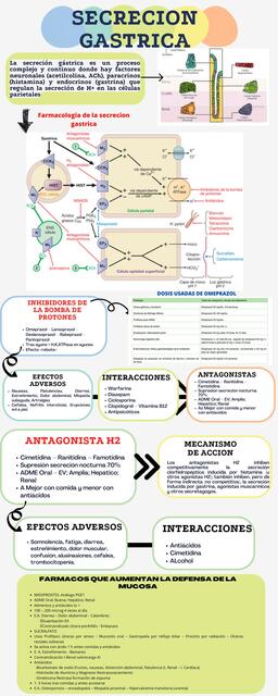 Secreción Gástrica | Naty J. | uDocz