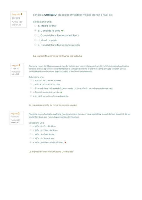 02 Parcial Anatomía | Heidi Solano | uDocz