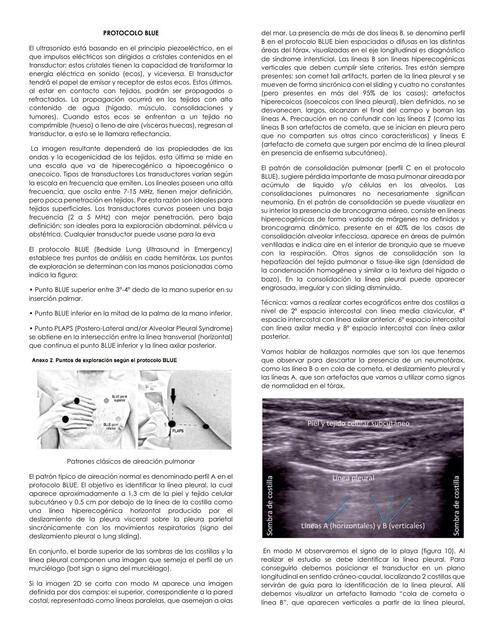 Protocolo Blue | Jaqueline Llanos Landa | uDocz