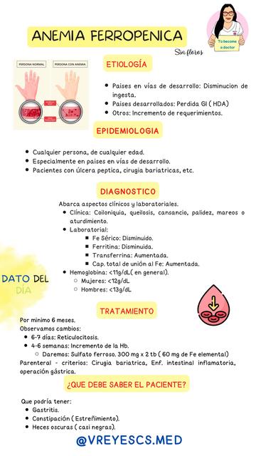 Flashcard Anemia Ferropénica | Valeria Sofia Reyes Castro | uDocz